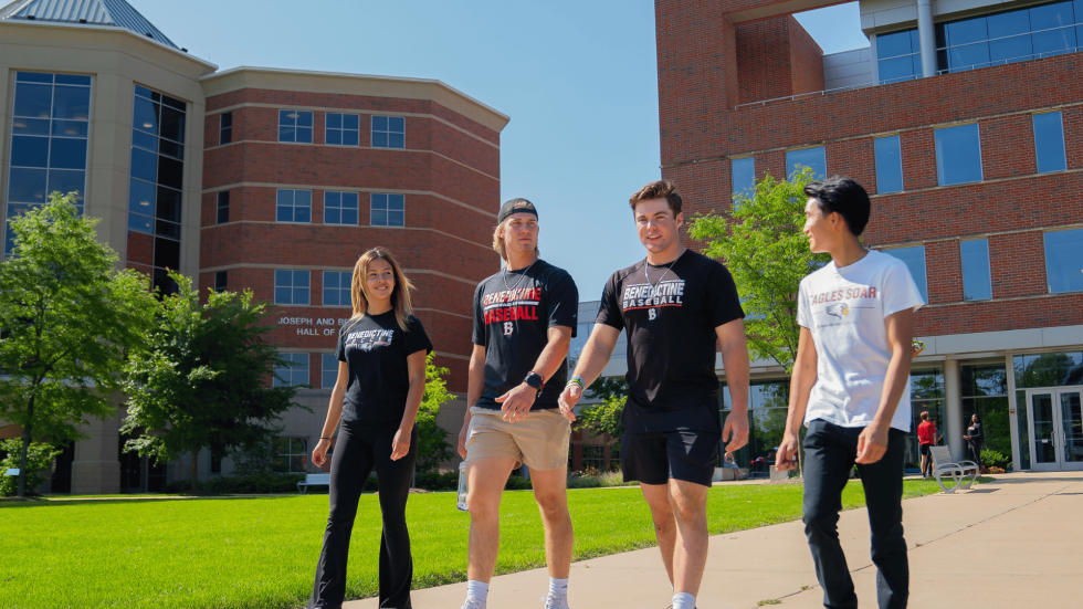Graduate and Doctoral Programs | Benedictine University